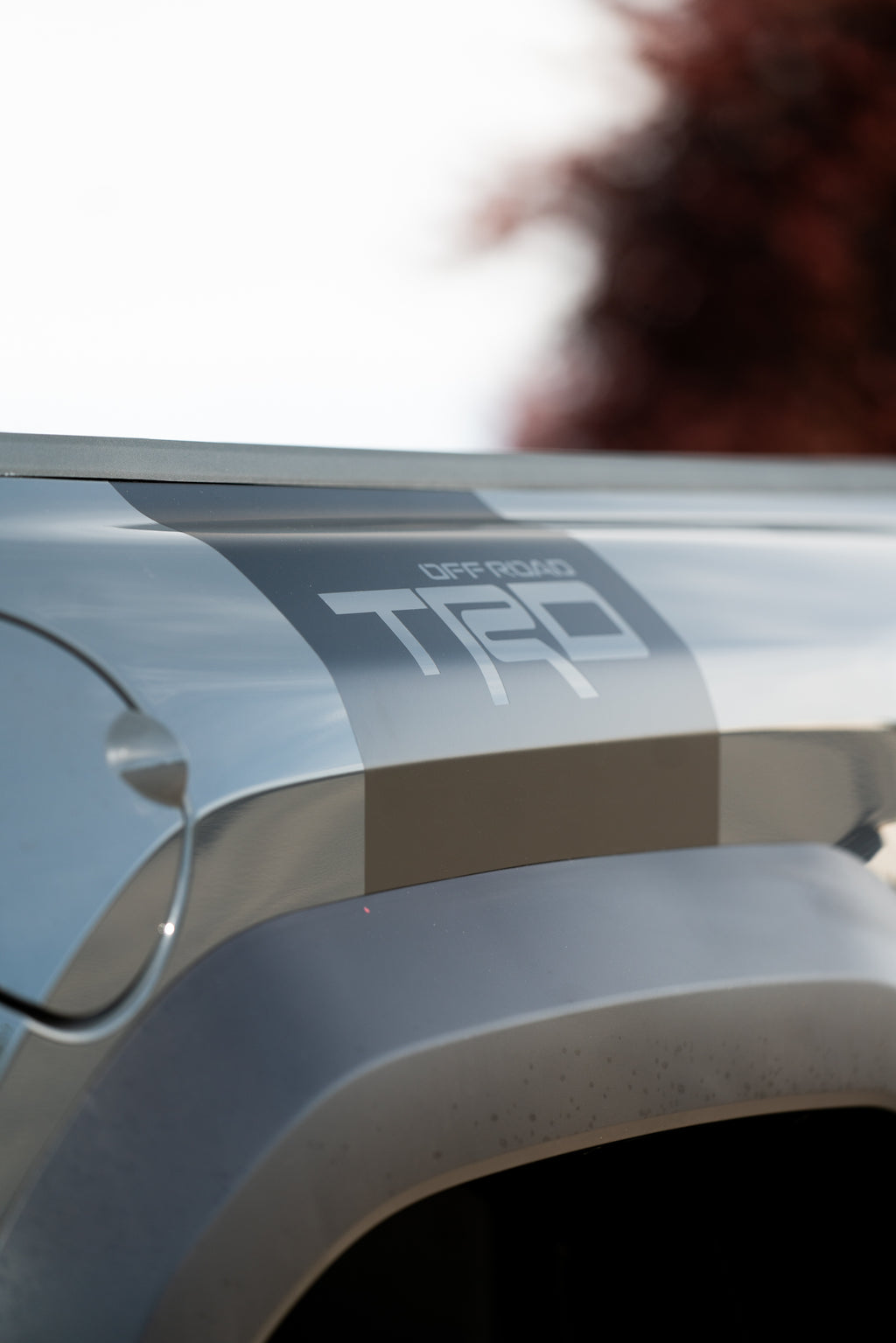 Taco Vinyl - Vinyl Toyota Decals